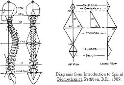 . The Spinalfitness Center : Biomechanics: Spinal Biomechanical Studies ...